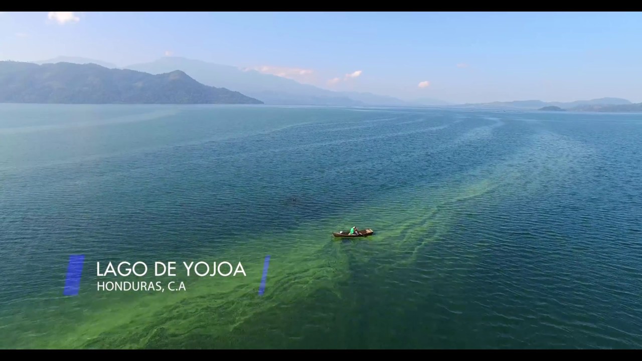 Descubriendo el Lago de Yojoa: Una Guía Completa para el Paraíso ...